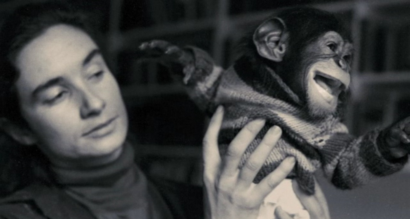 Watch The First Six Minutes Of 'Project Nim', By 'Man On Wire' Director ...