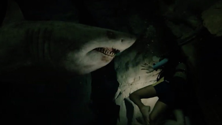 10 Underrated Shark Movies That You Should Check Out