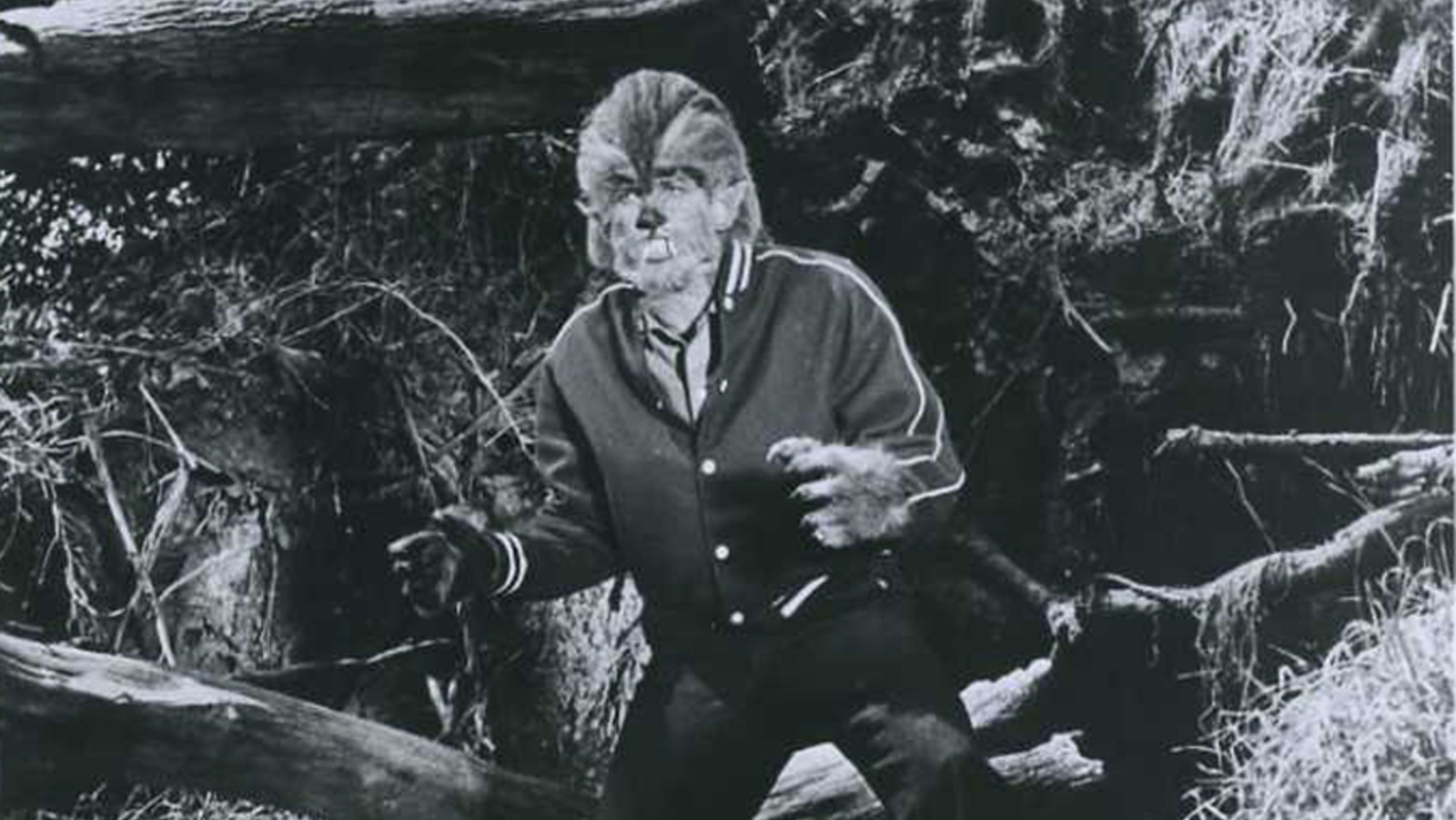 10 Movies Only On VHS That Are Still Worth Watching