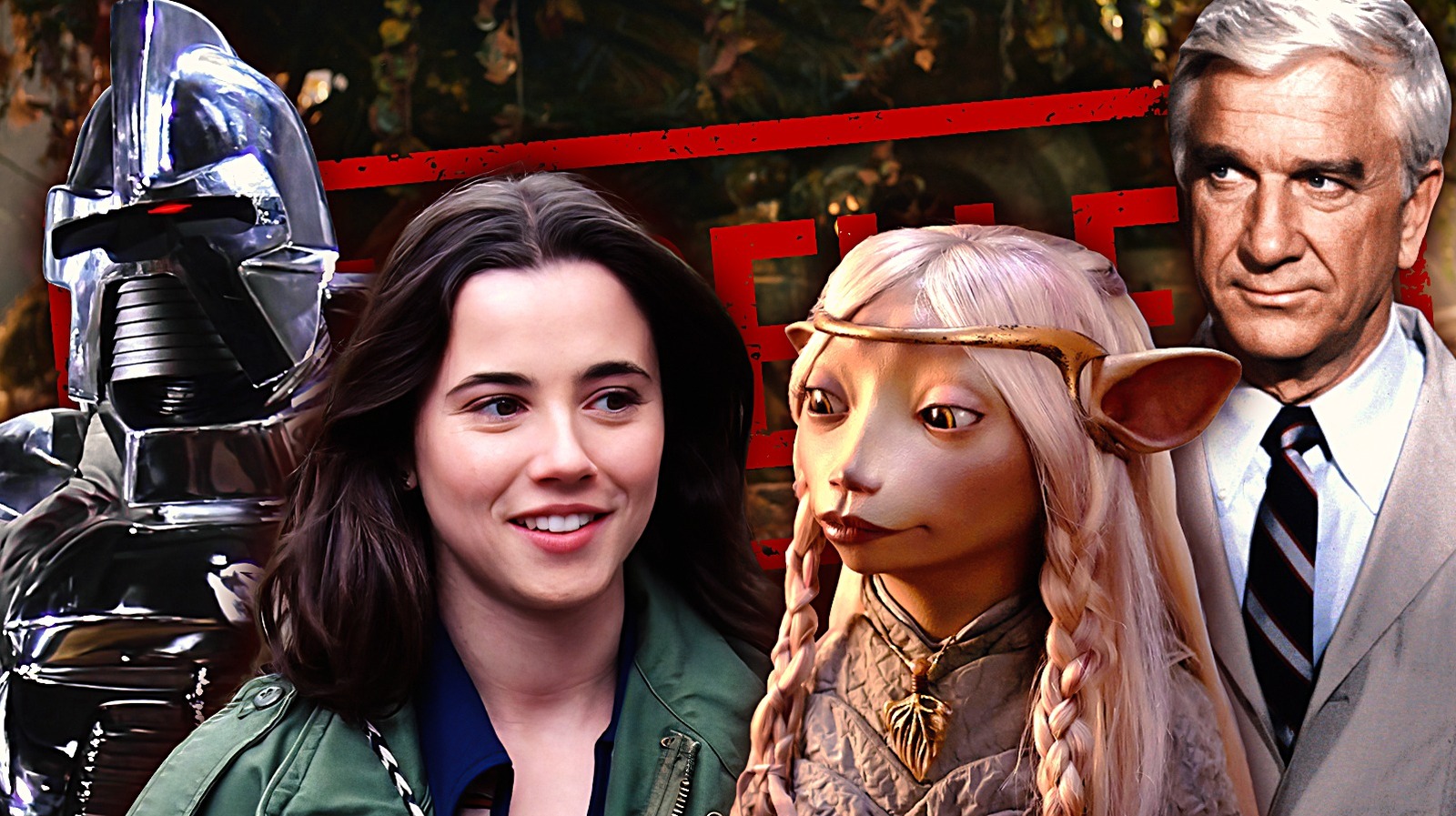 15 Best TV Shows That Were Canceled After Only One Season