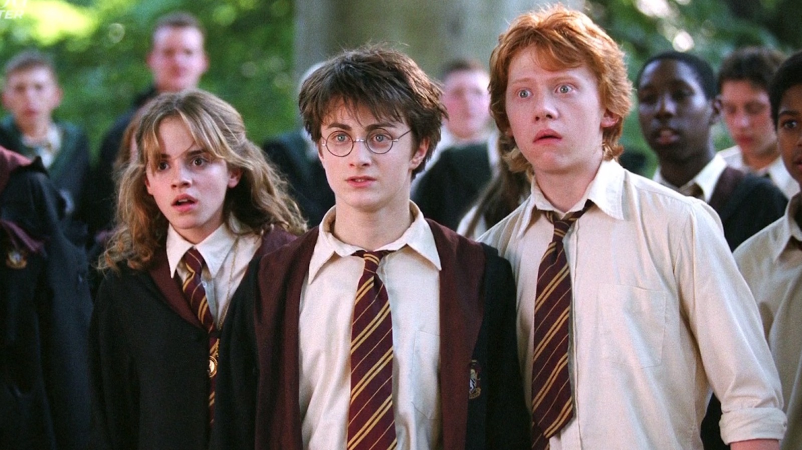 5 Reasons Why HBO's Harry Potter TV Series Is Destined To Flop