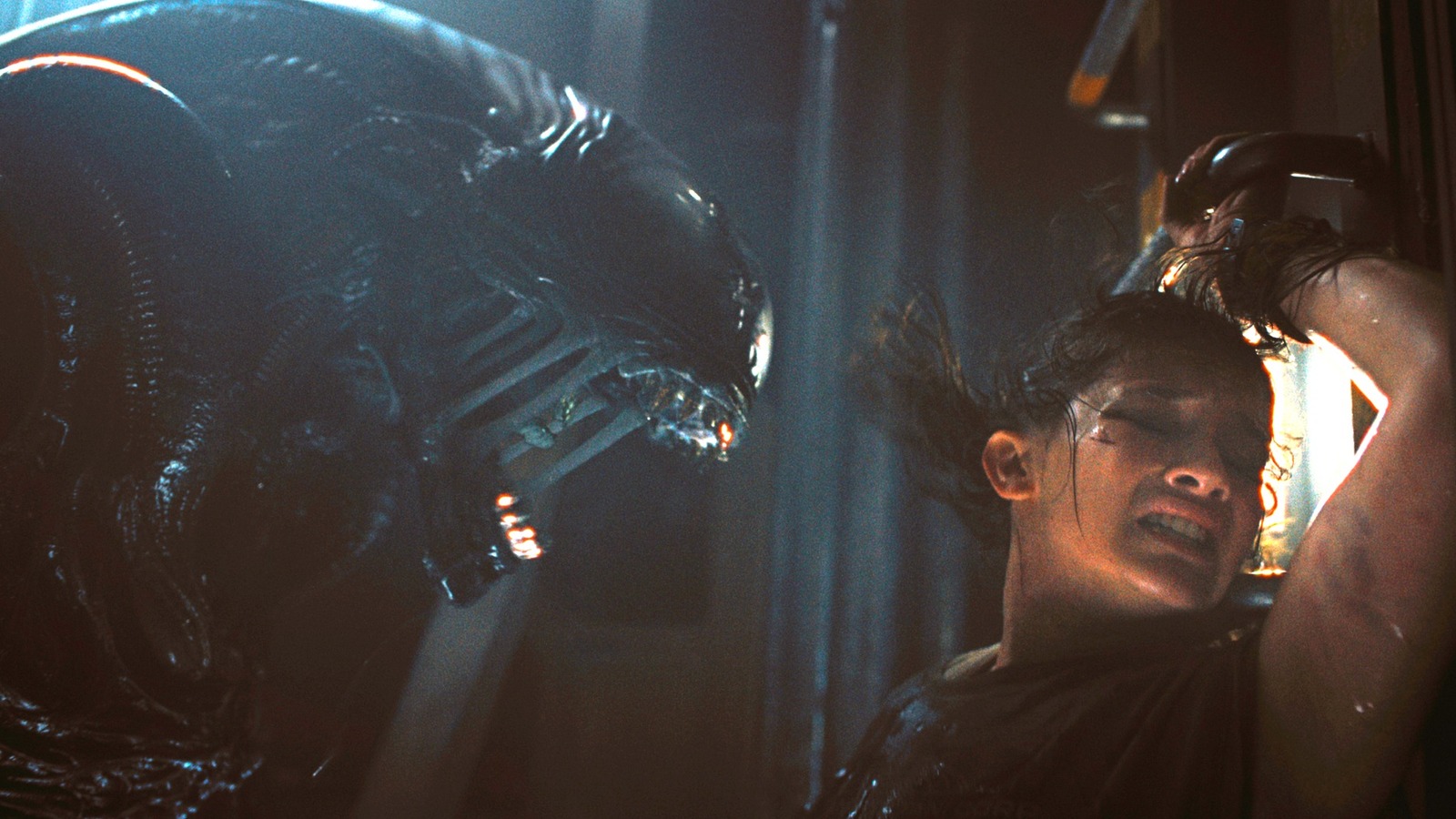 Why An Alien: Romulus Sequel From Fede Alvarez May Take Longer Than You ...