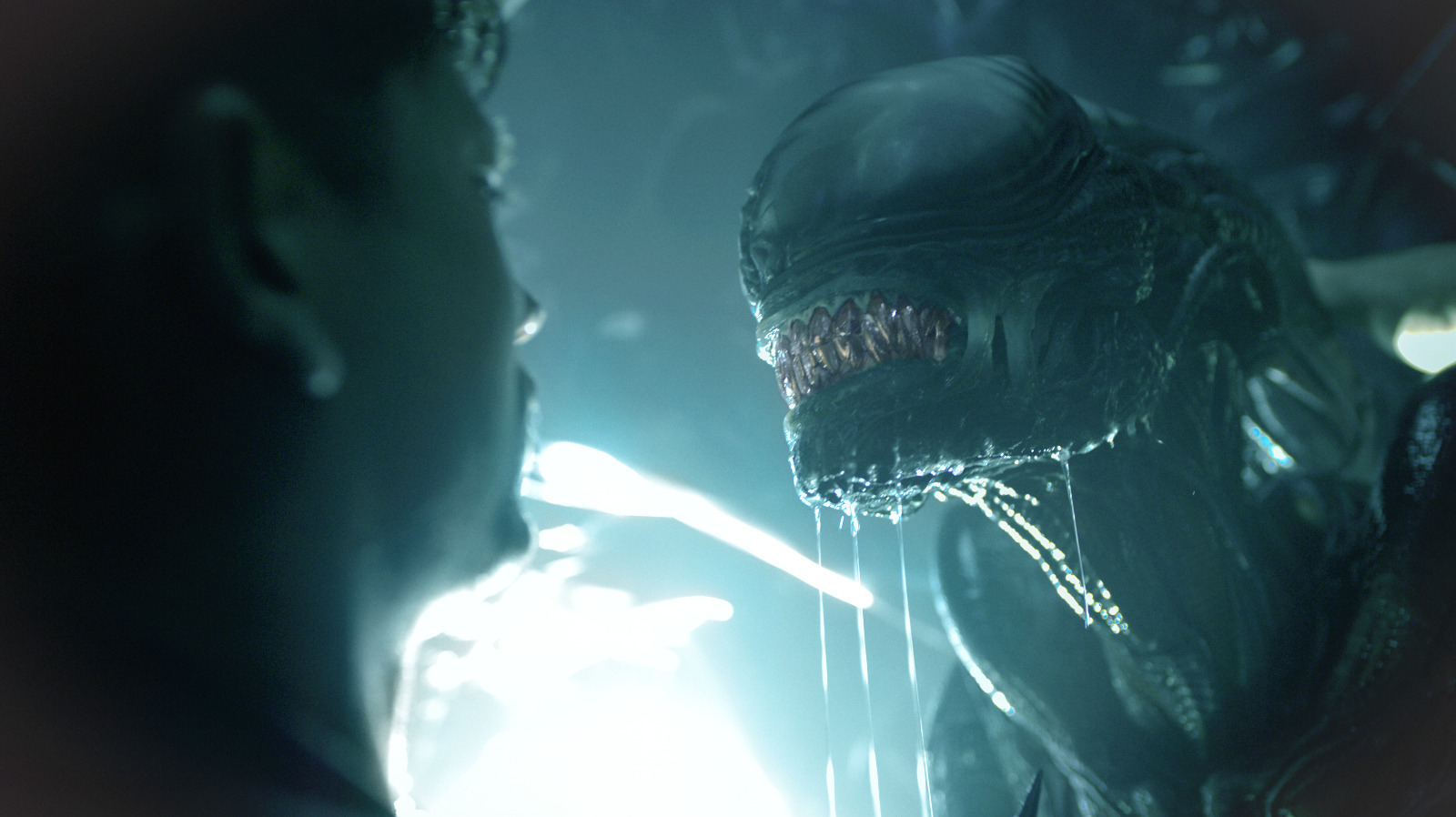 Alien: Romulus Ending Explained: Xeno Phobia