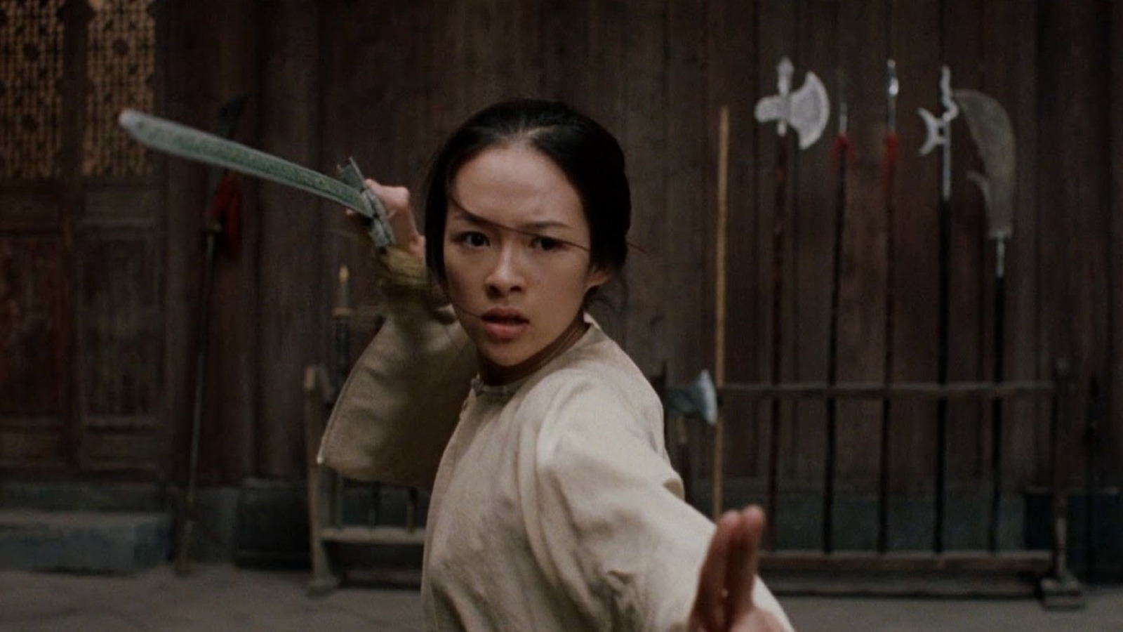 Ang Lee Saw The Hulk As A Natural Evolution After Crouching Tiger ...