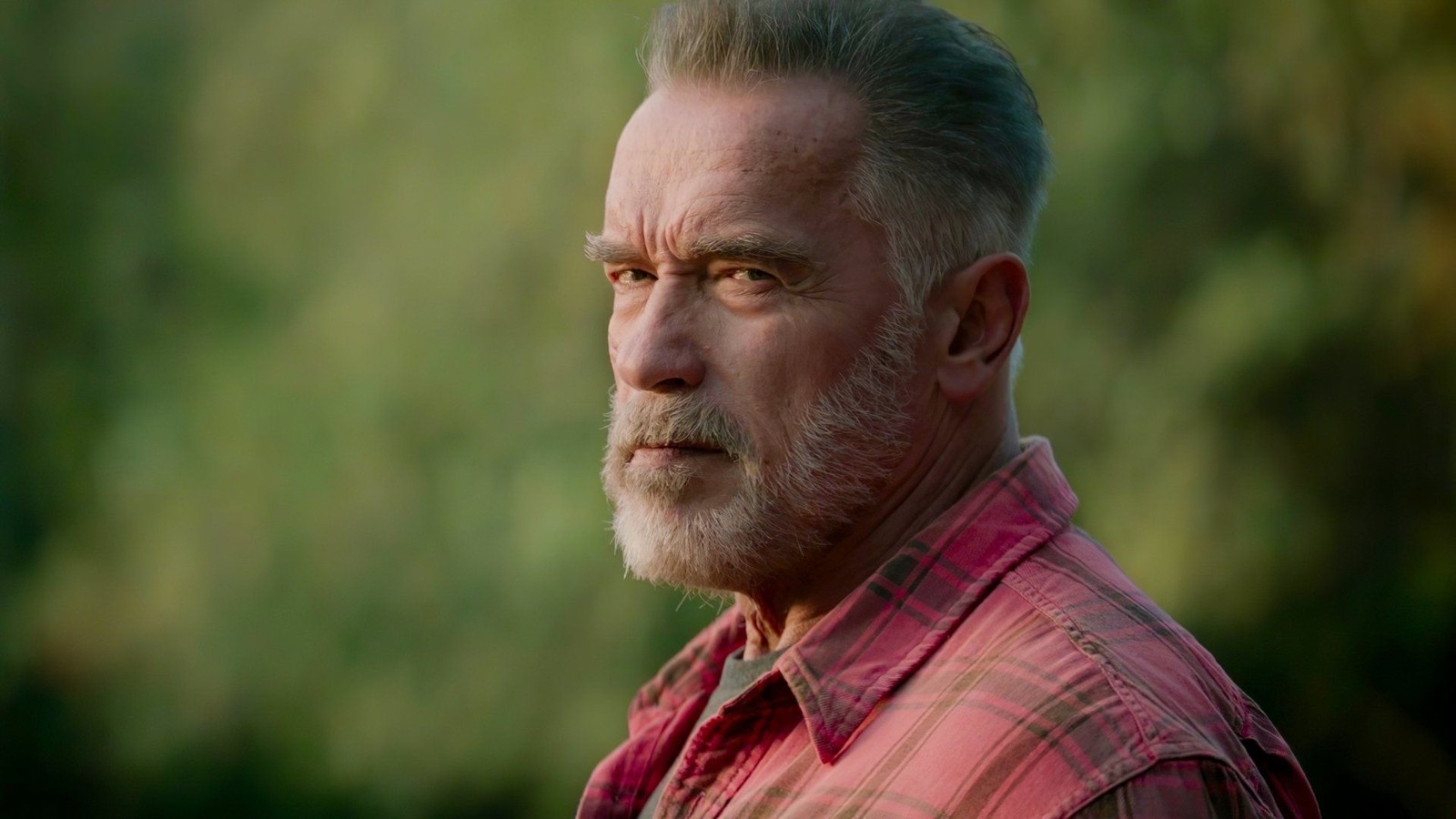 Arnold Schwarzenegger Returning To The Big Screen For Action Thriller ...