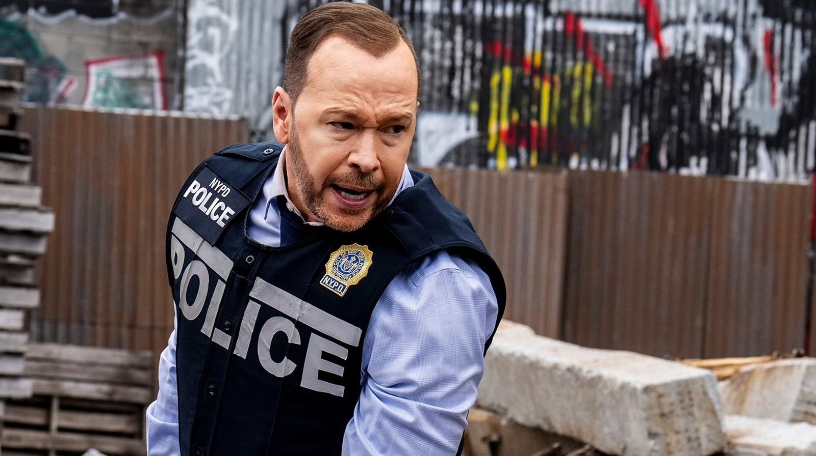 Blue Bloods Spin-Off: Everything We Know About Donnie Wahlberg's Danny ...