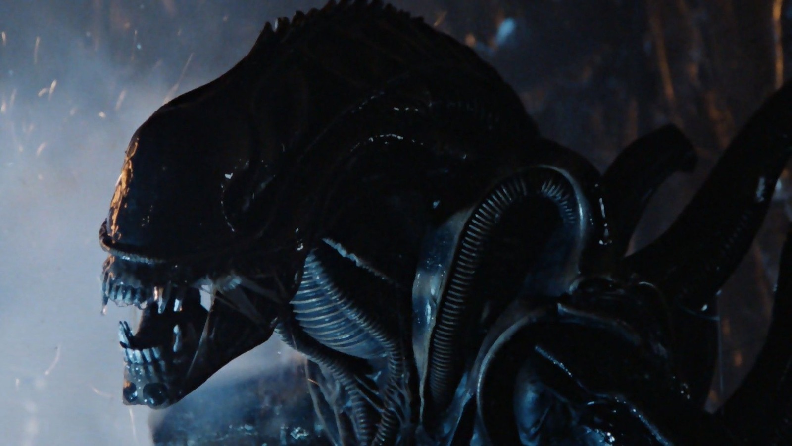 Breaking Down The Best And Worst Alien Fan Theories