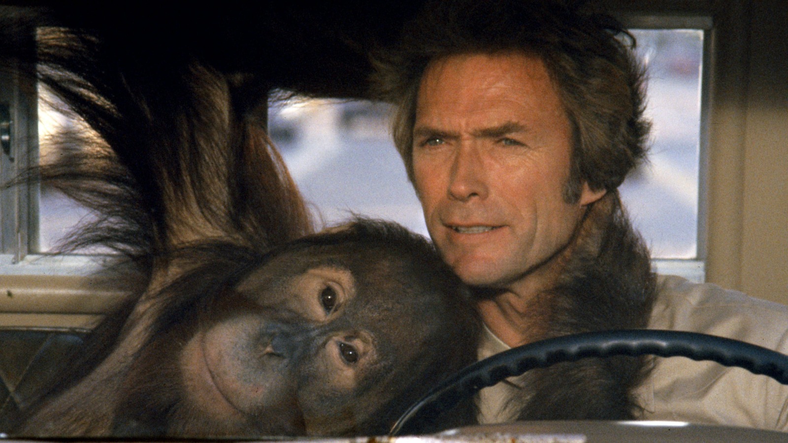 Clint Eastwood Doesn't Do Much Thinking When It Comes To Choosing Films ...