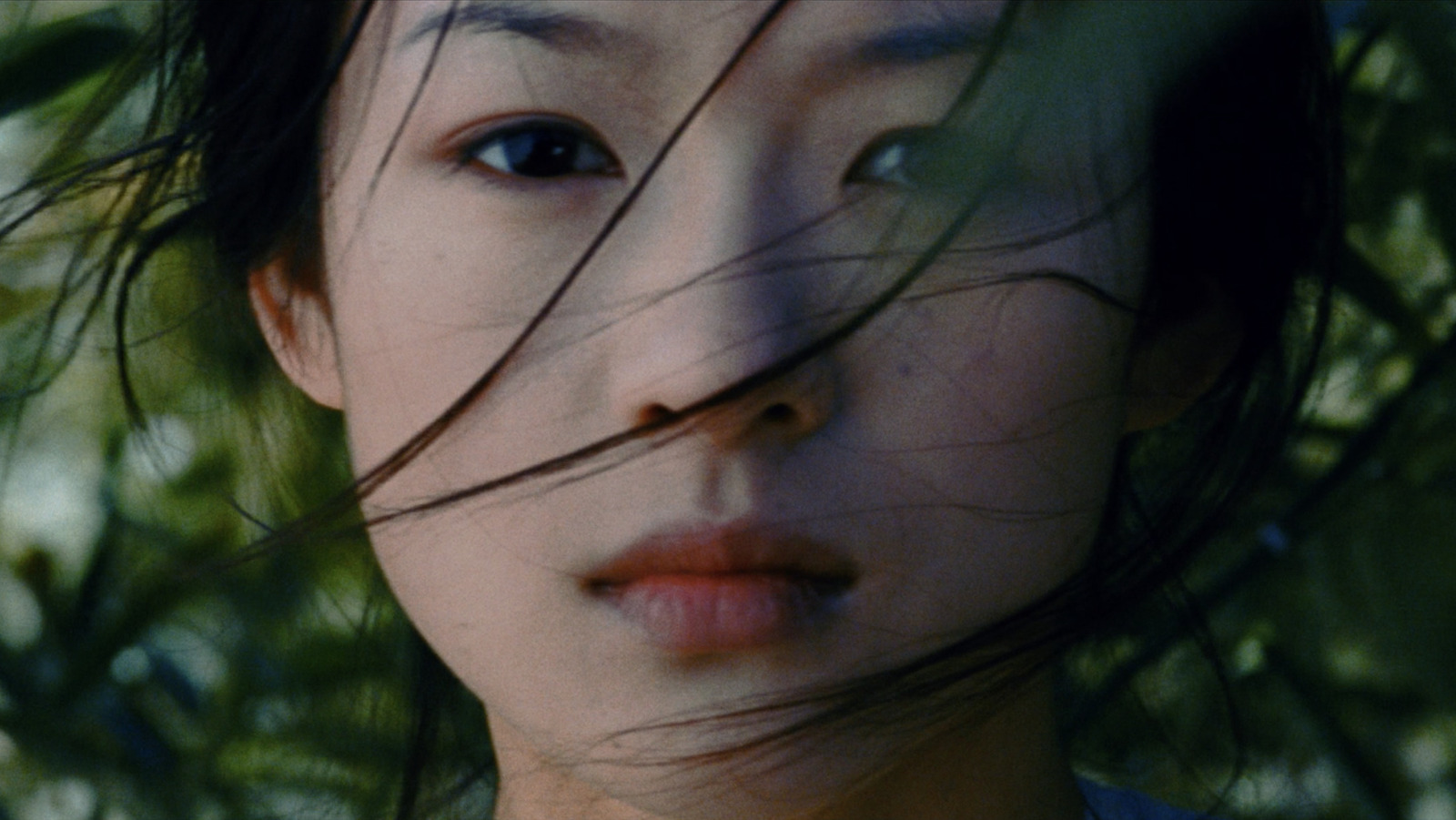 Crouching Tiger, Hidden Dragon Fulfilled Ang Lee's Childhood Dreams