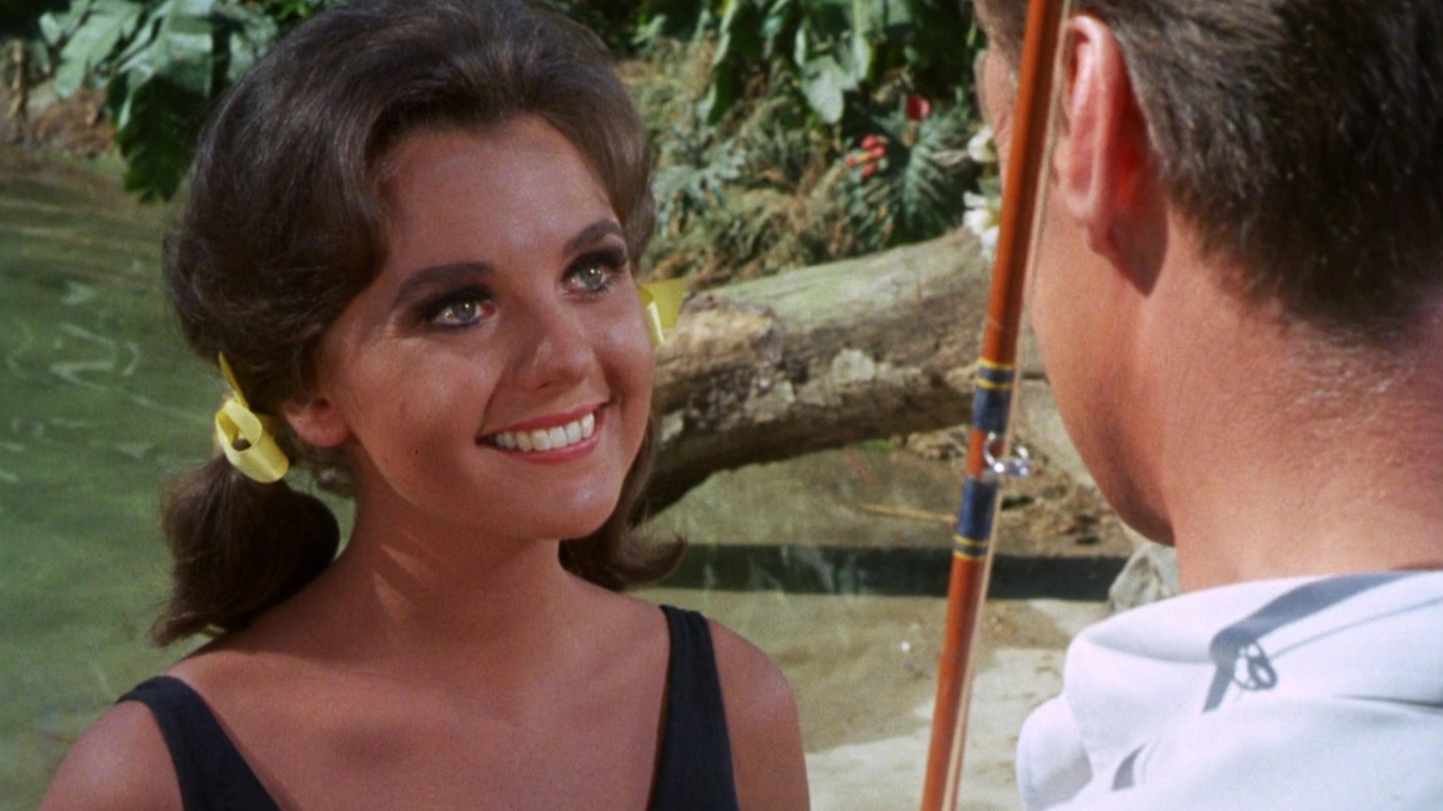 Dawn Wells Net Worth