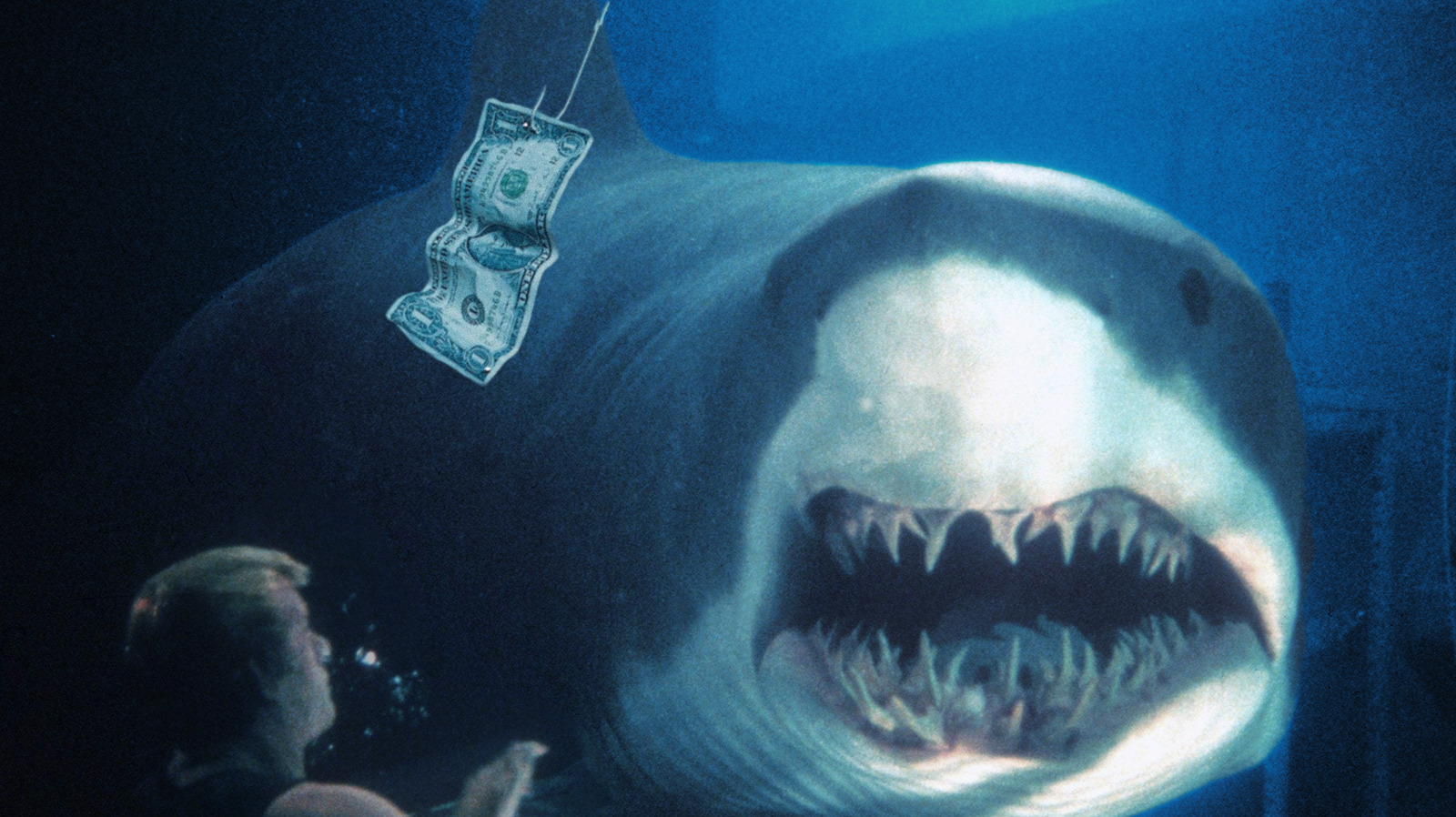 Deep Blue Sea, The Second-Best Shark Movie Ever, Was Just A Modest Box ...