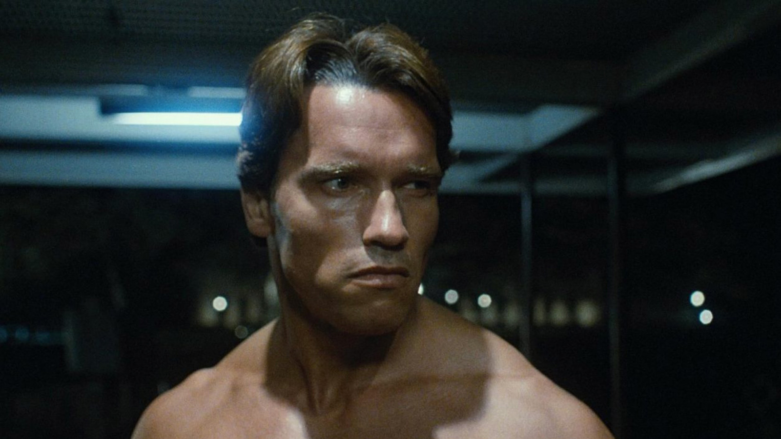 Terminator Arnold Muscle
