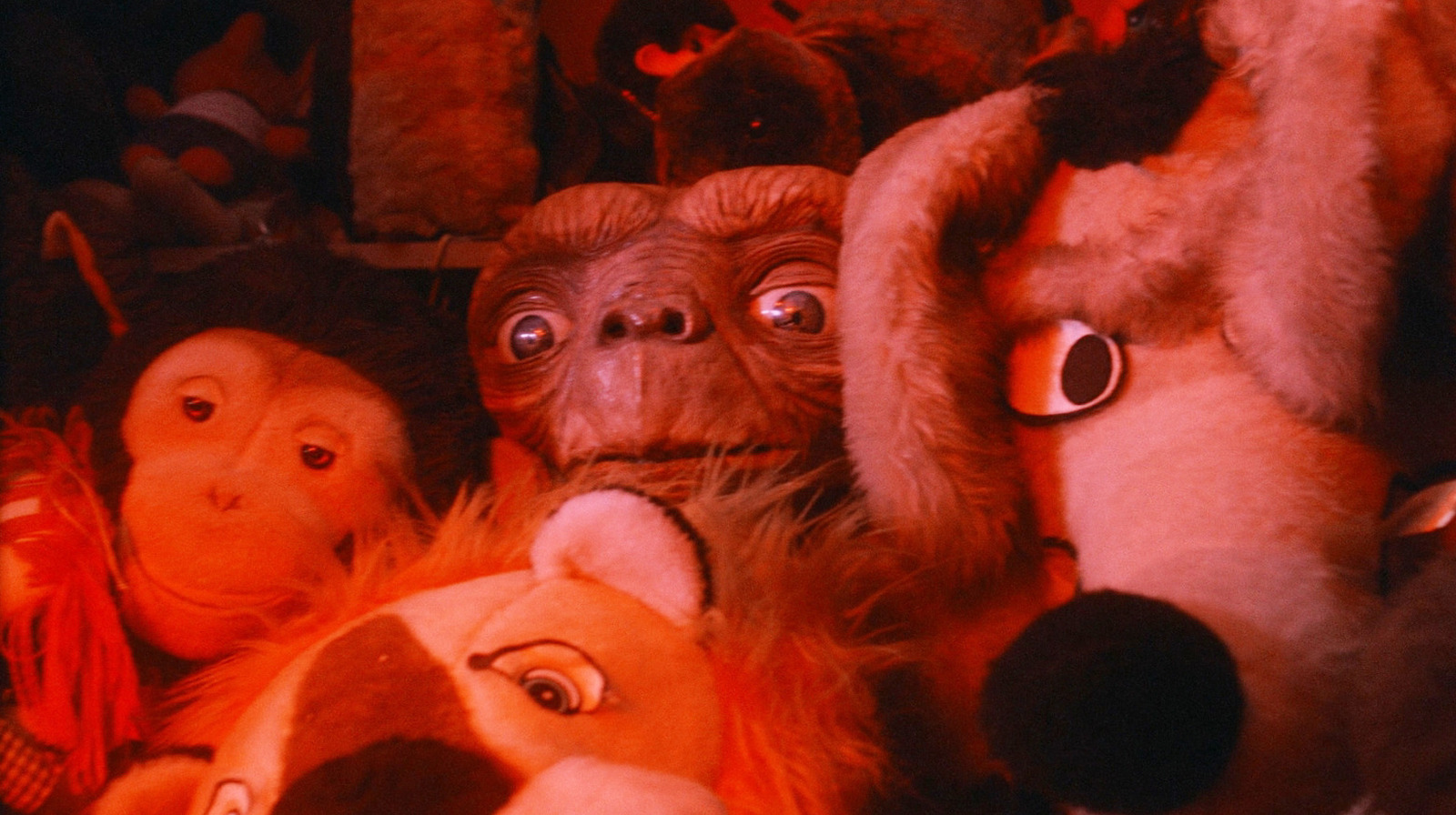 E.T. Ending Explained: Spielberg Bids His Childhood Farewell