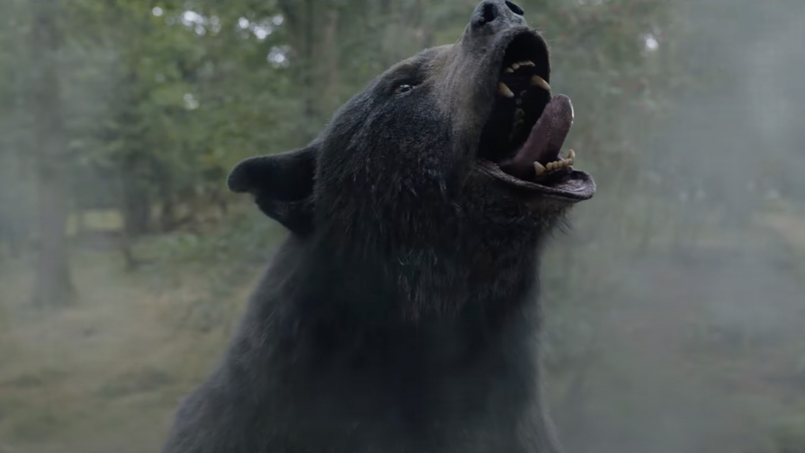 Elizabeth Banks' Cocaine Bear Has A Scene That's 'Mini Fast & Furious But One Of The Cars Is A Bear'