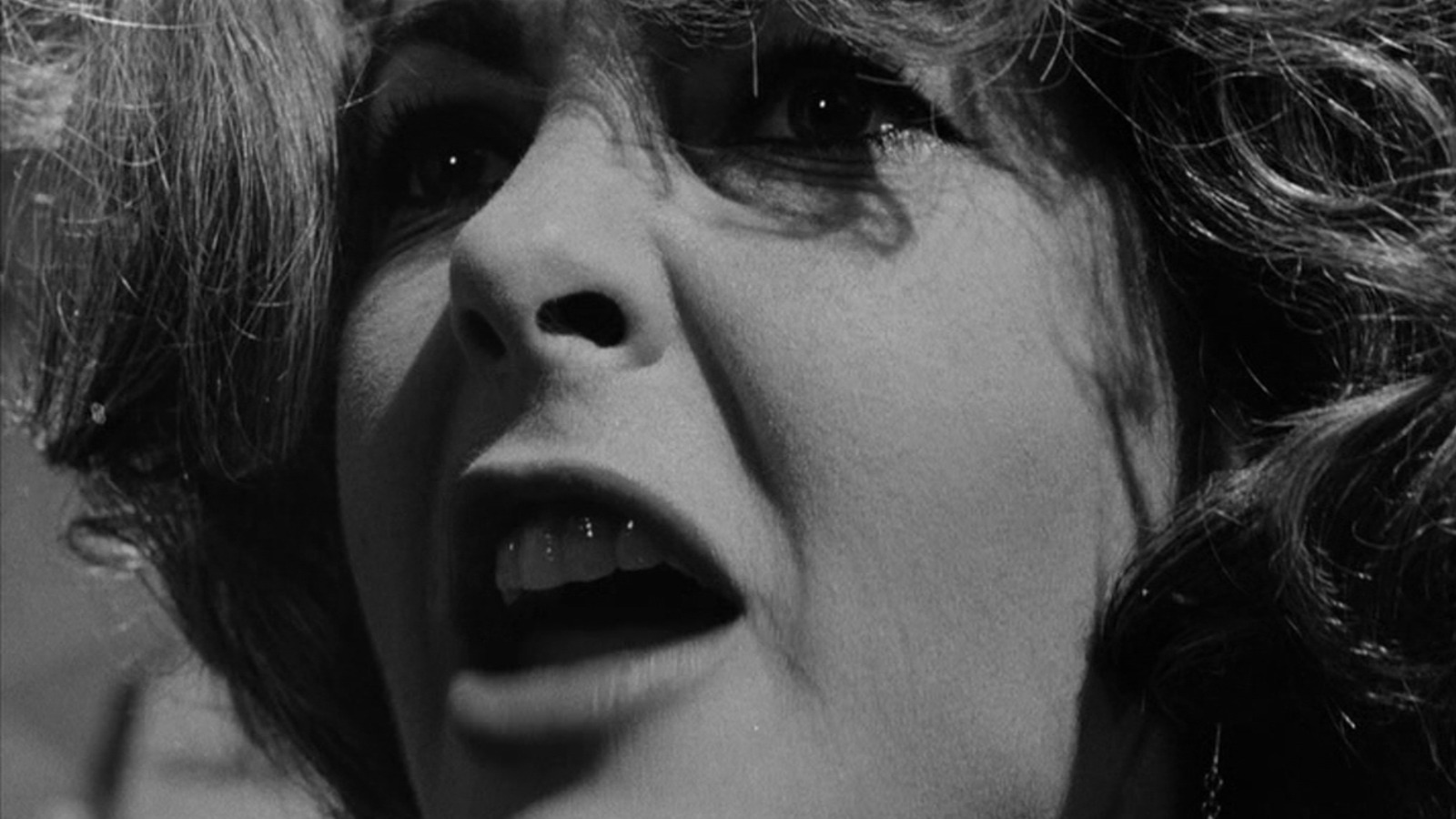 Elizabeth Taylor Threw Vanity To The Wind For Who's Afraid Of Virginia ...