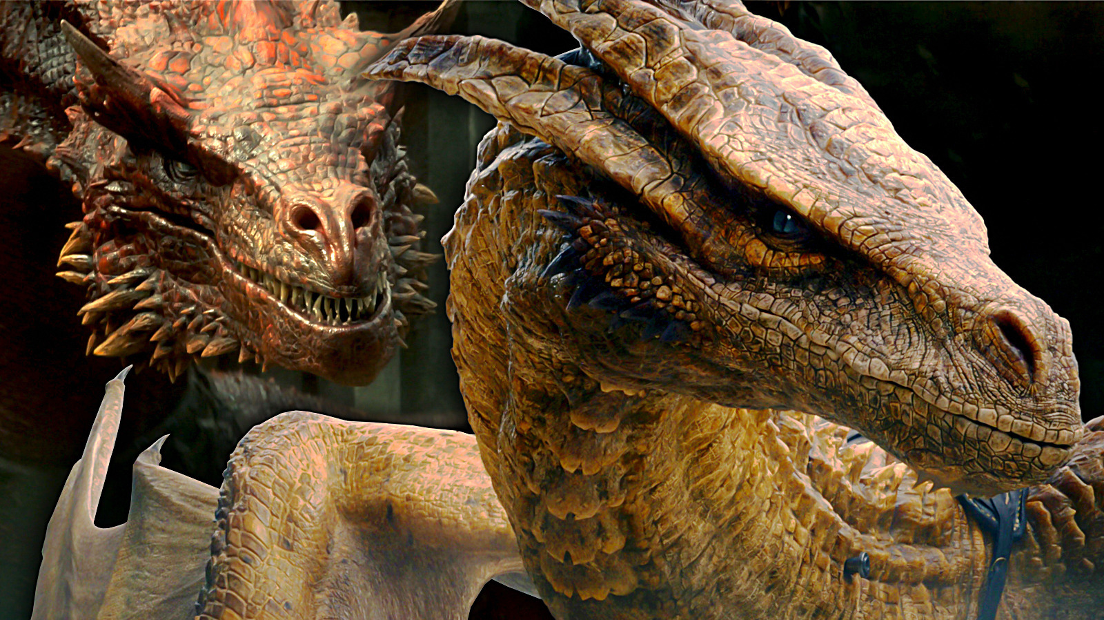 Every Dragon In HBO's House Of The Dragon, Ranked By Strength