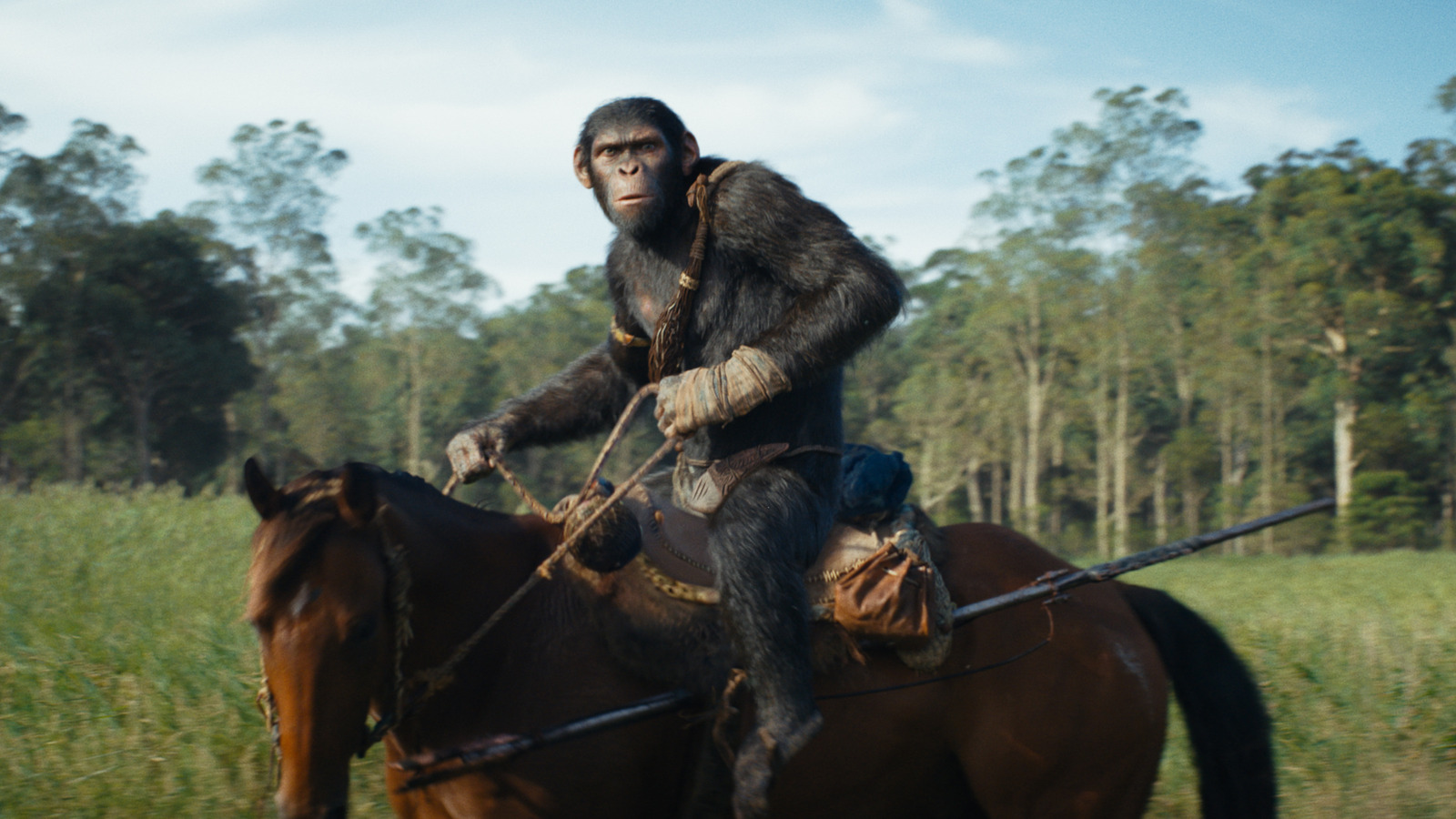 Kingdom Of The Planet Of The Apes Characters Ranked