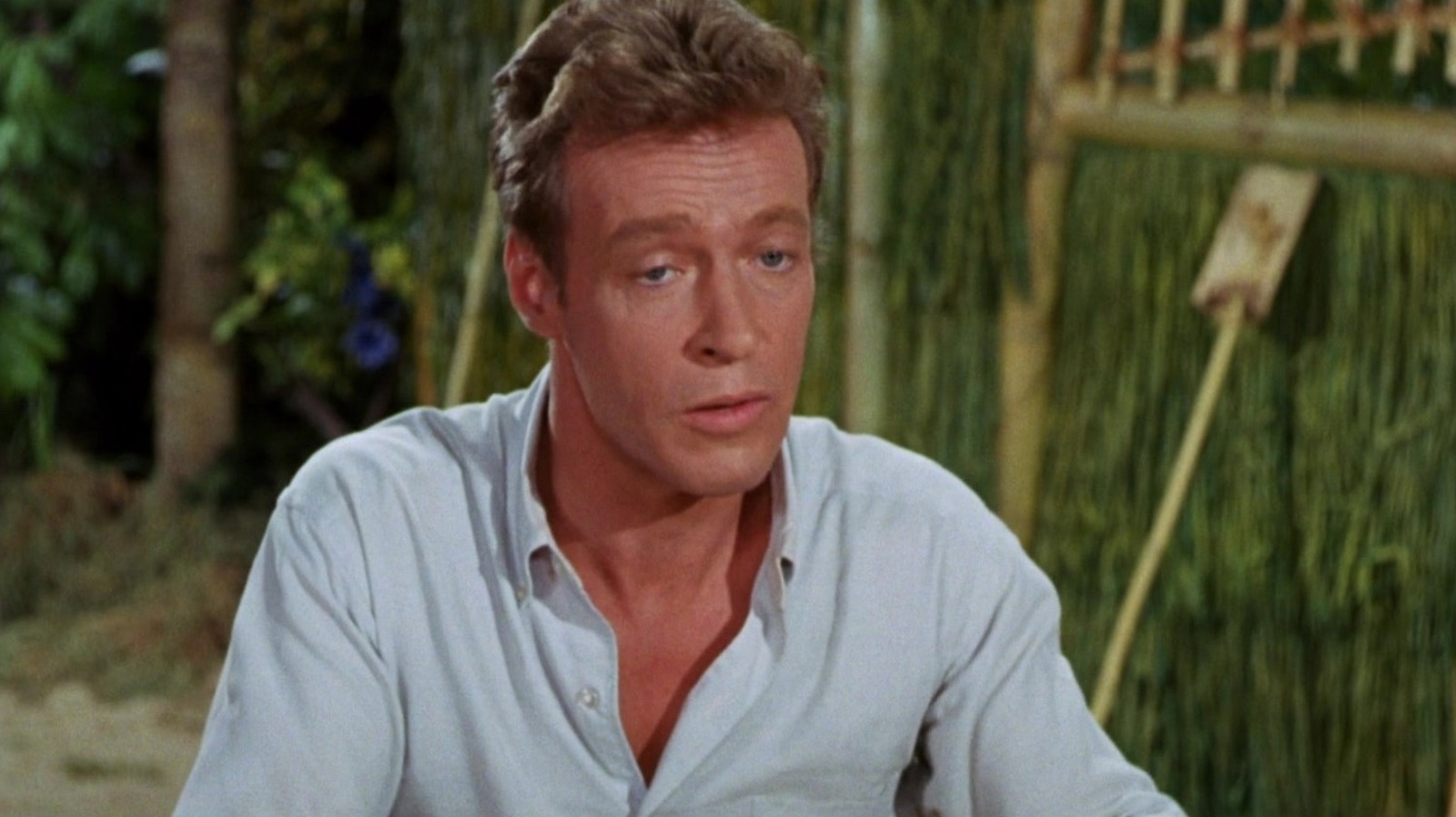 Gilligan's Island Star Russell Johnson Had Difficulties Adjusting To ...