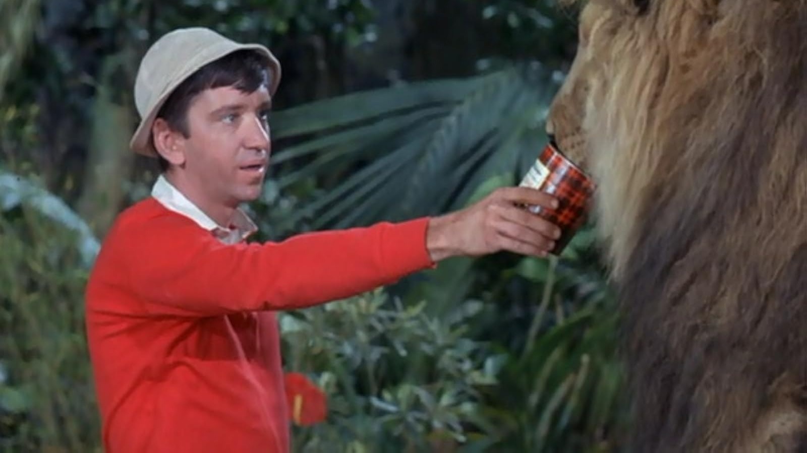 Gilligan's Island's Bob Denver Had A Terrifying Close Encounter With A ...