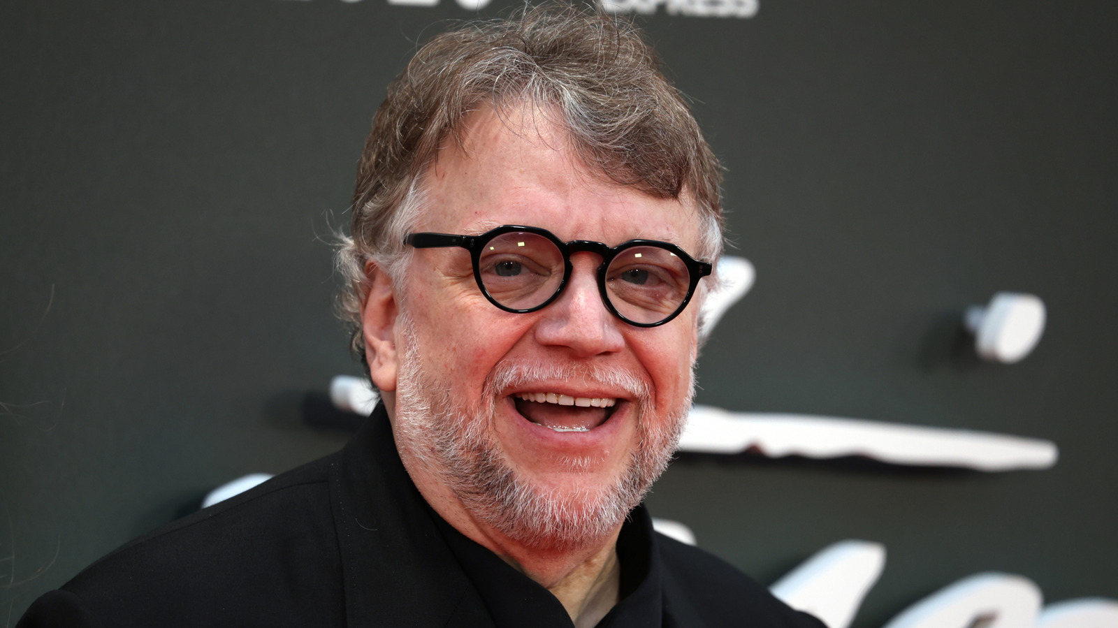 Guillermo Del Toro Wealth