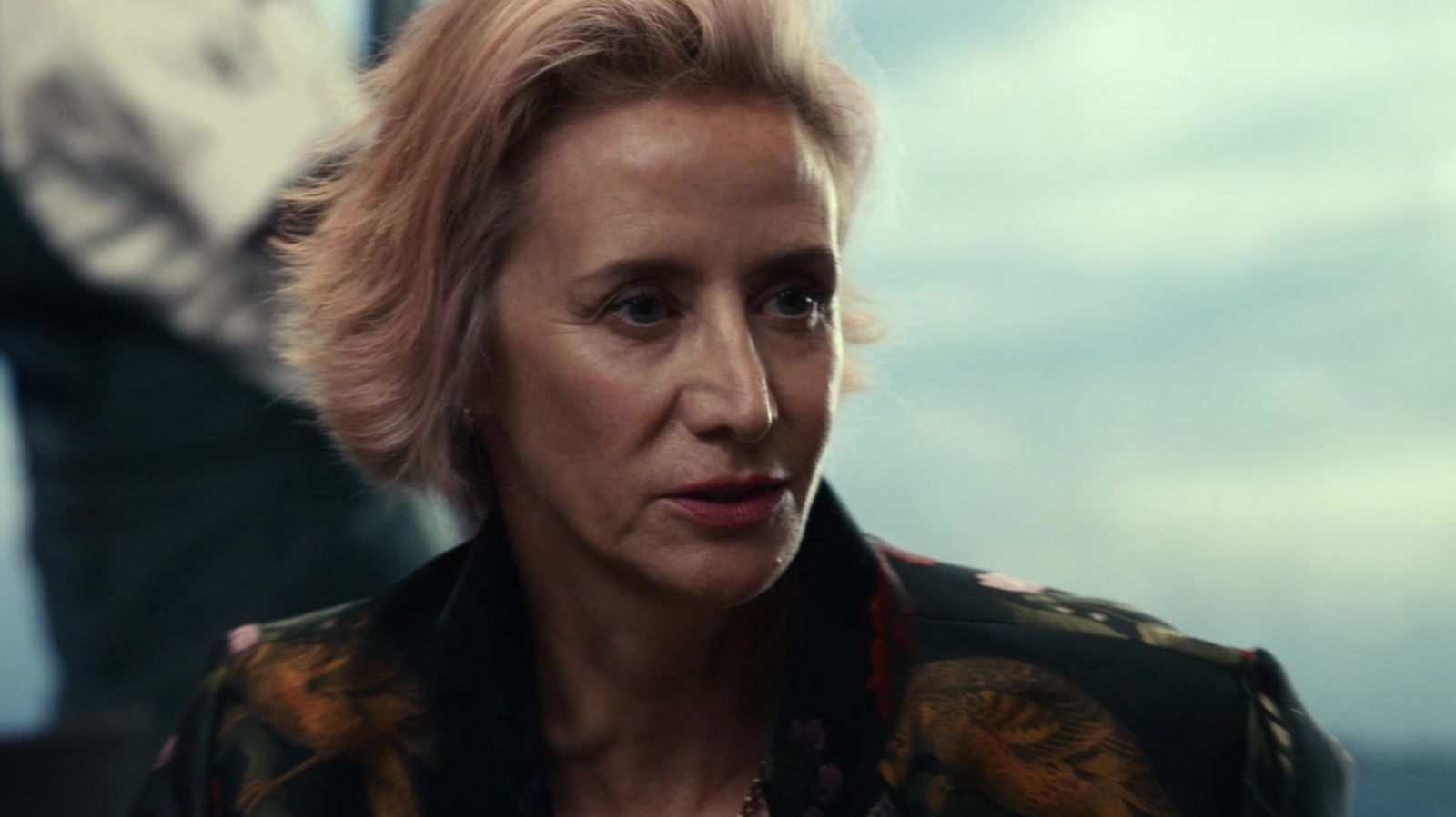 Harry Potter TV Series: Janet McTeer In Negotiations For Professor ...