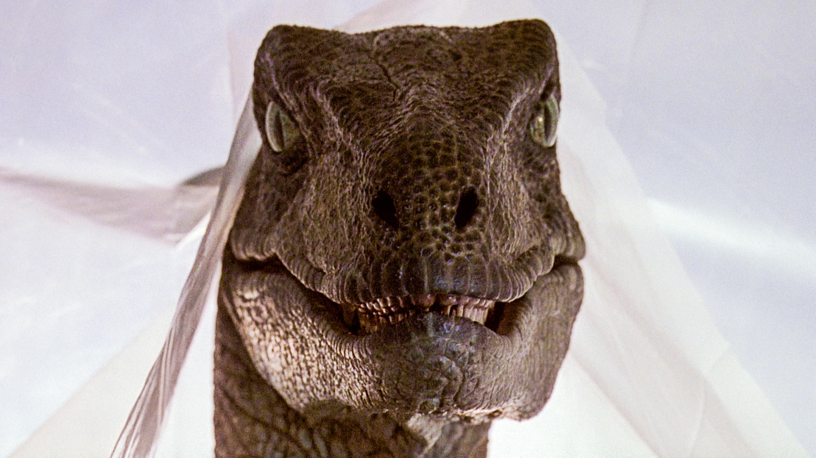 Jurassic Park Crew Members Got To Take A Dino Home Thanks To Steven ...