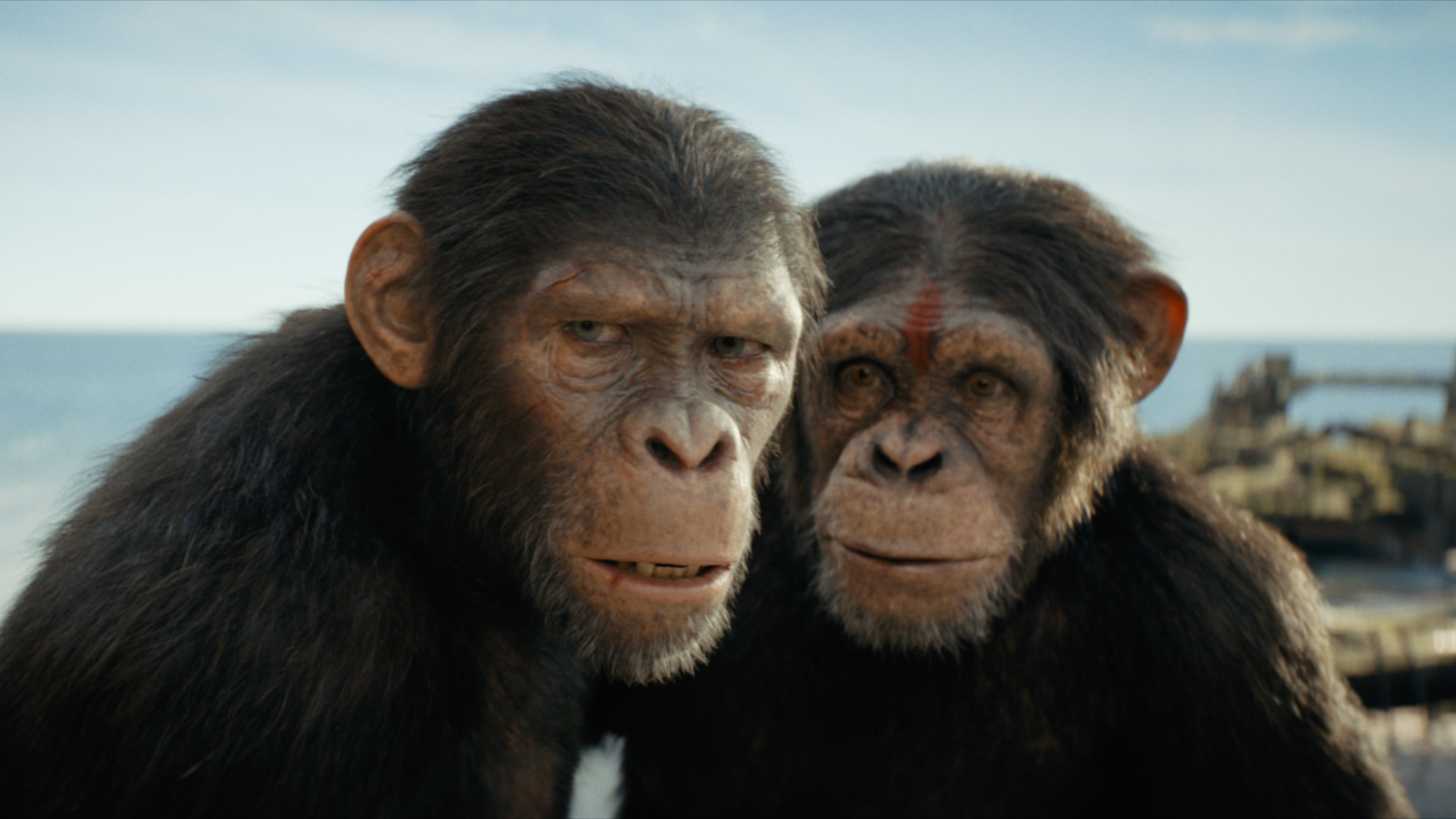 Kingdom Of The Planet Of The Apes Explores The Origins Of The Forbidden Zone