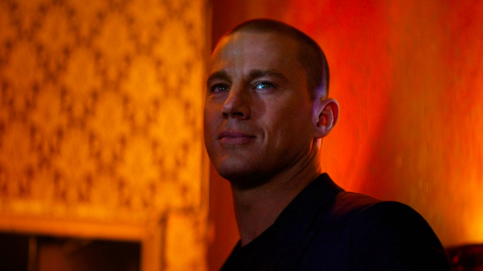 Magic Mike's Last Dance Trailer: The Titillating Trilogy Comes To A Close