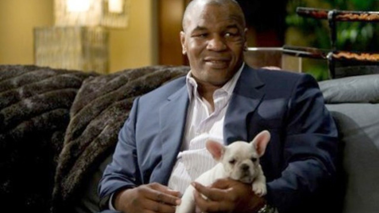 Hangover Mike Tyson Tiger Mike Tyson Was Unaware Of His Cameo In The
