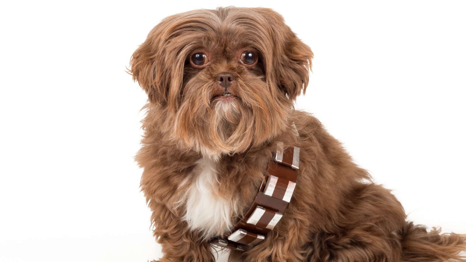 Page 2: Star Wars, Doctor Who, Sesame Street, Donnie Darko, Mad Max ...