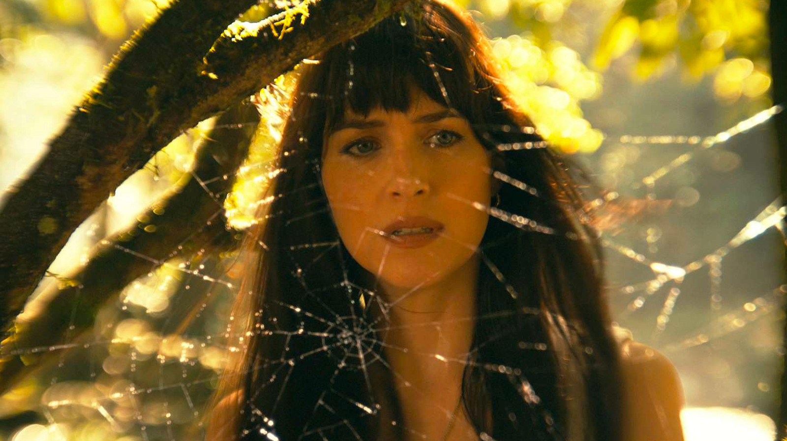 Past Lives Director Calls Upon Star Wars And Marvel Stars For A New A24 Rom-Com