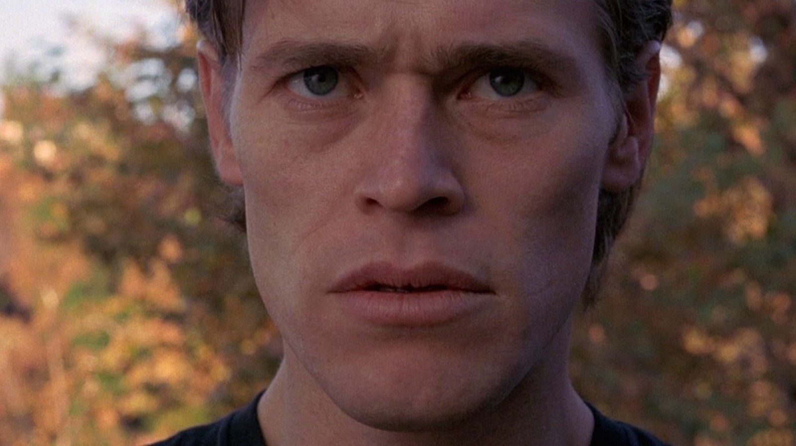Playing To Live And Die In L.A.'s Villain Led To Willem Dafoe Getting ...