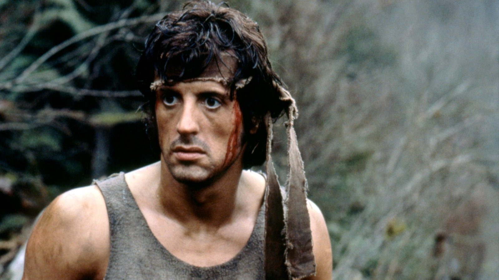 Sylvester Stallone Rambo Body
