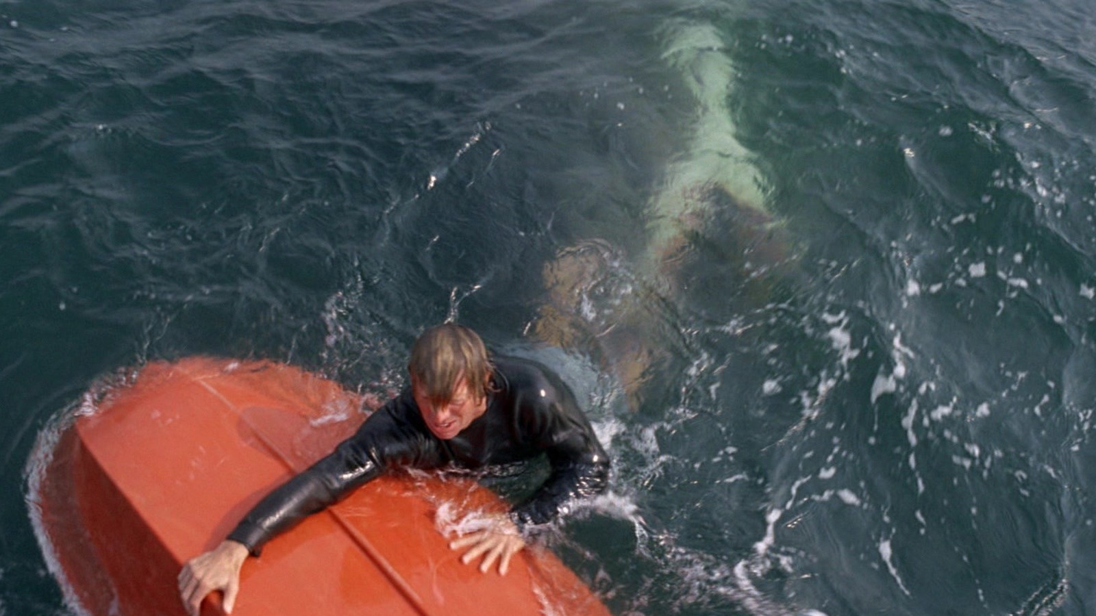 Steven Spielberg Had One Important Request For Jaws (With A Key Exception)