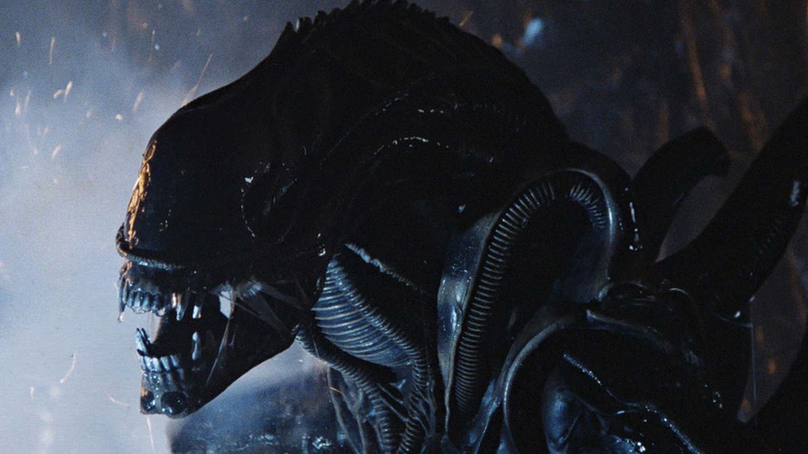Steven Spielberg's Aliens Pitch To James Cameron Ruined The Xenomorphs