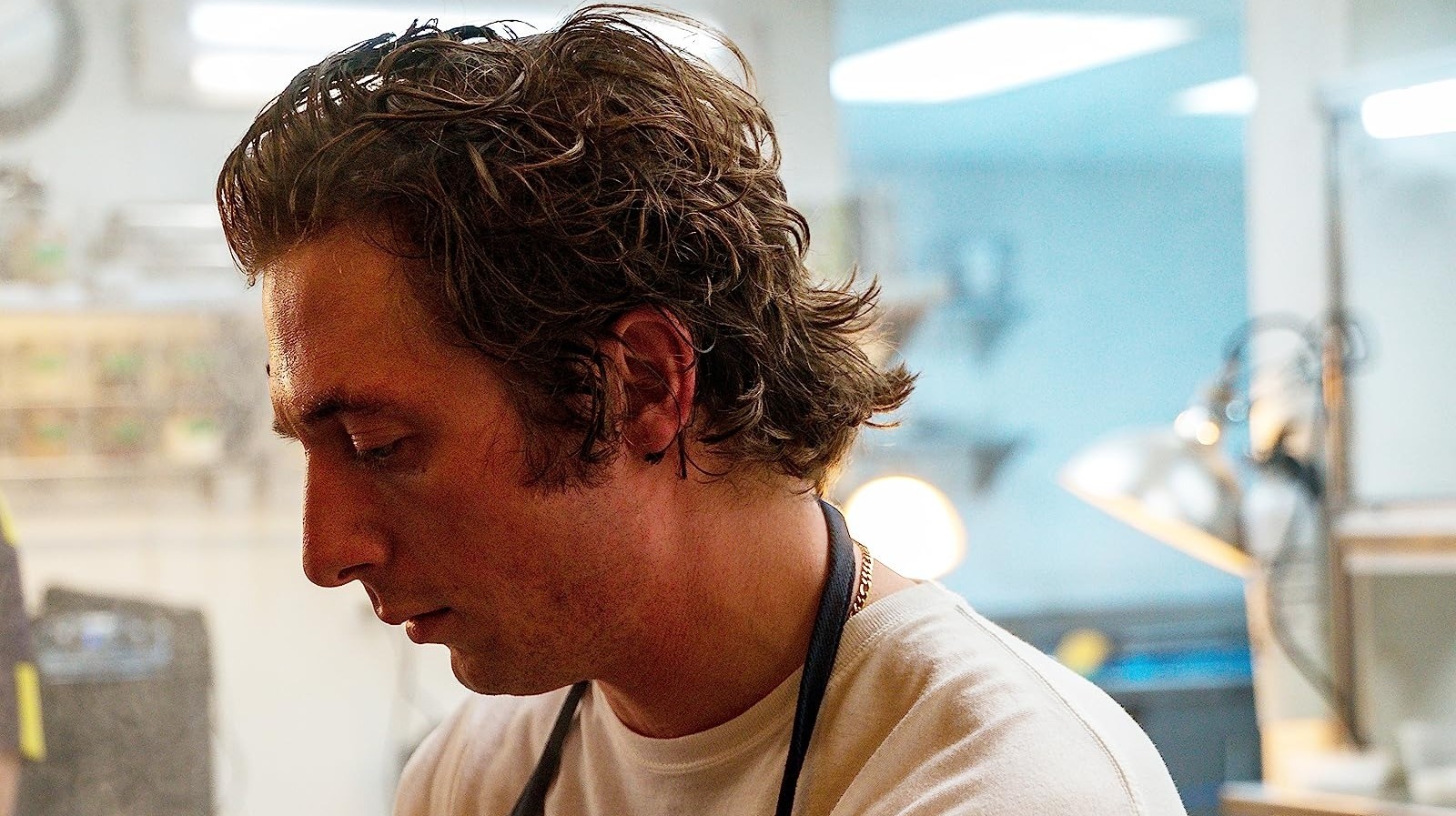 The Bear Creator Is Directing A Movie Martin Scorsese, Michael Mann ...