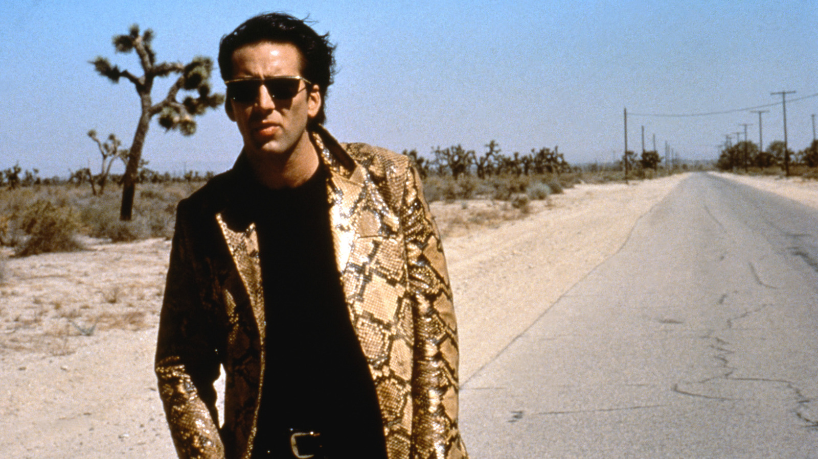 The Bizarre Improvised Nicolas Cage Song That Was Cut From Wild At Heart