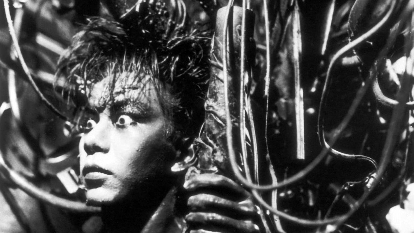 The Daily Stream: Tetsuo: The Iron Man And The Horrors Of Mechanized ...