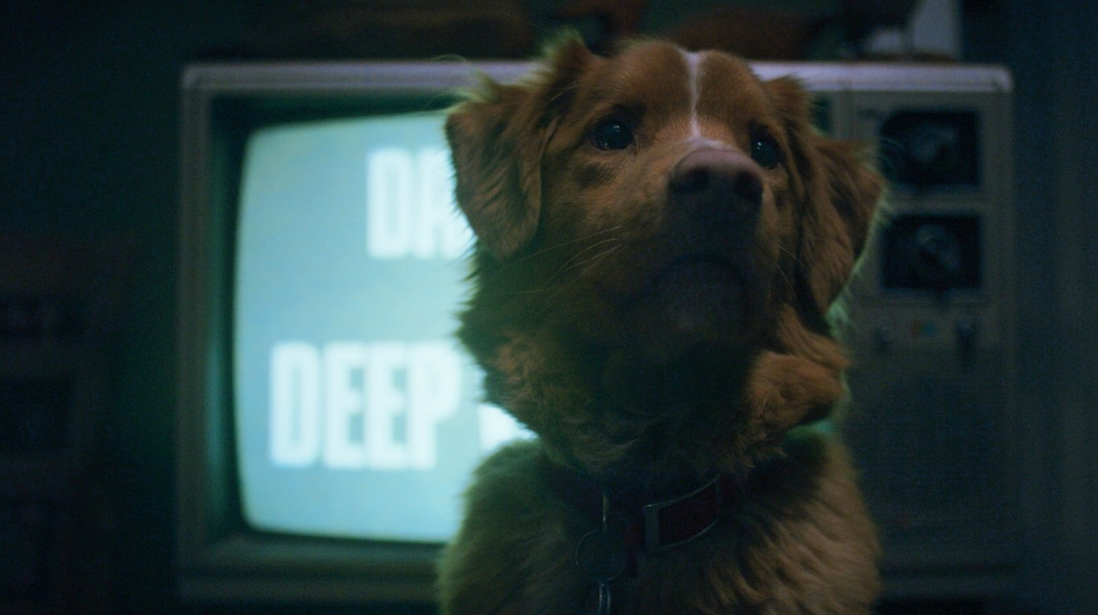 Good Boy: 2025's First Truly Scary Horror Movie Shatters One Major ...