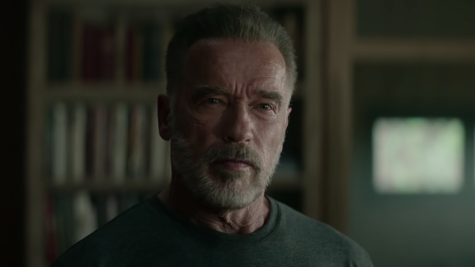 The Future Of Terminator Movies, According To Dark Fate Director Tim ...