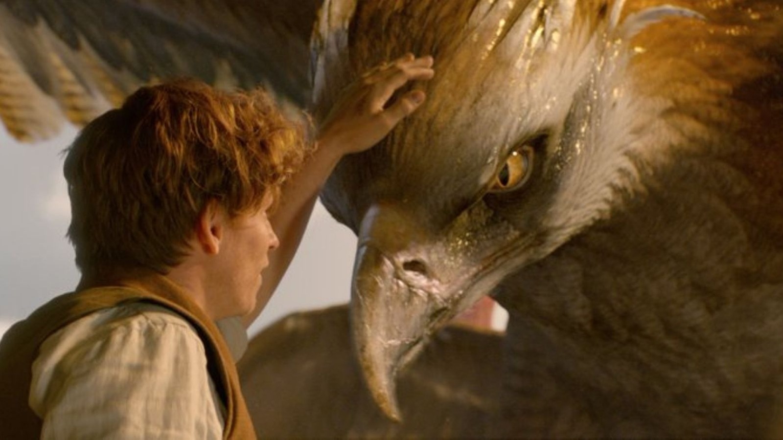 The Harry Potter Producers Originally Had A Much Different Plan For ...