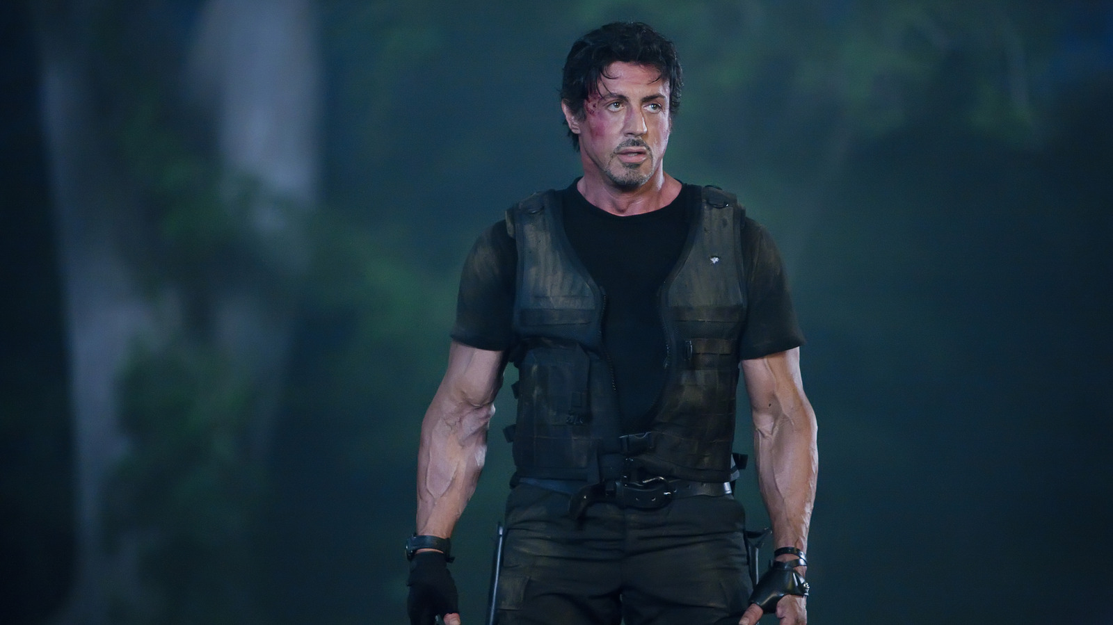 The Movie Stunts That Sylvester Stallone 'Never Recovered' From