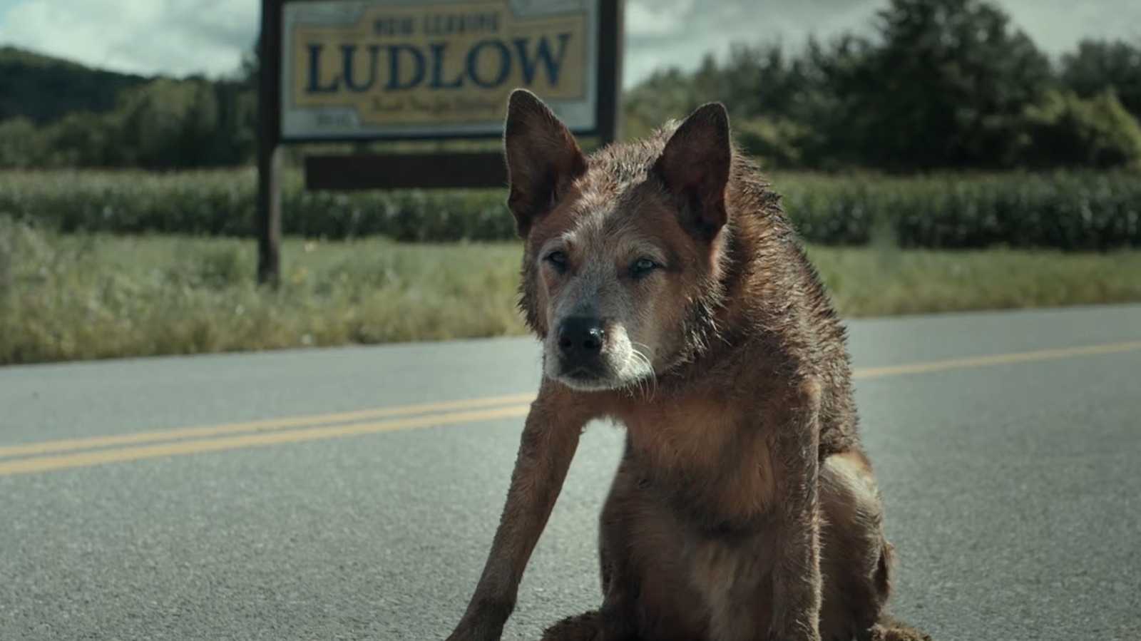 The Pet Sematary Bloodlines Trailer Takes You Back To Stephen King s