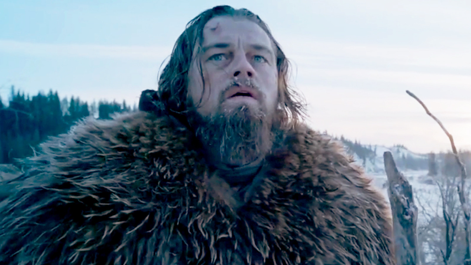 The Revenant's Bear Carcass Scene Was More Real Than You Think