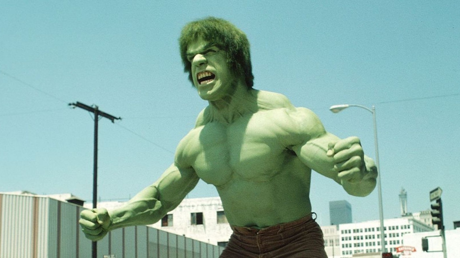 The Spider Man And Hulk 70s TV Show Stars Wanted To Do A Crossover The Spider Man And Hulk 70s TV Show Stars Wanted To Do A Crossover