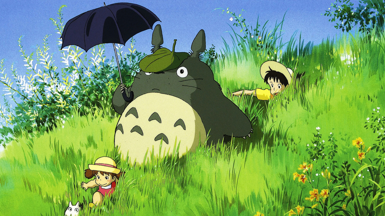 My Neighbor Totoro Cat