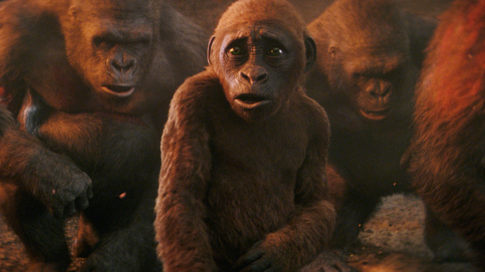 Three Words Became The Guiding Motto For Godzilla X Kong