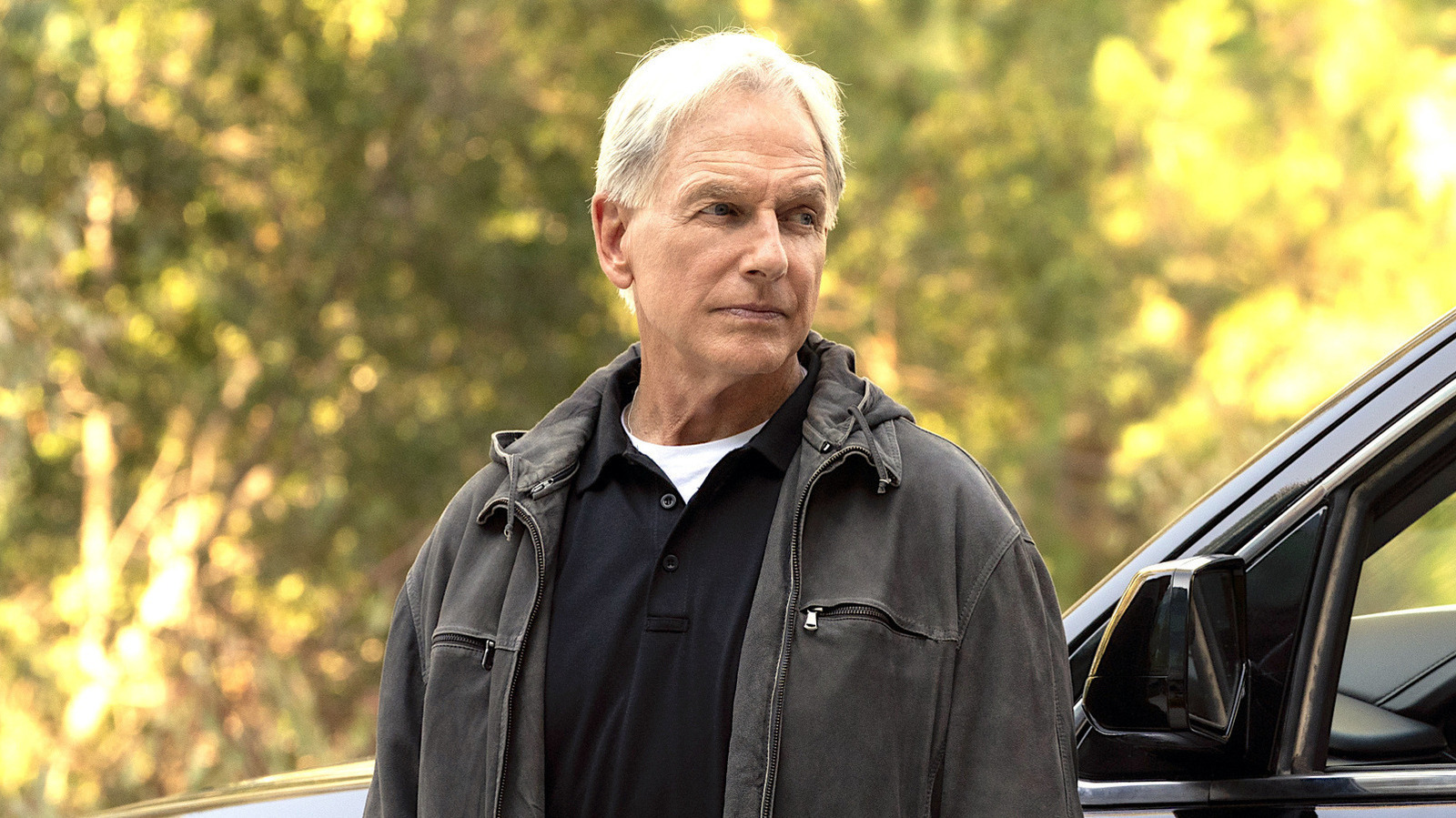 What Does 'NCIS' Mean?