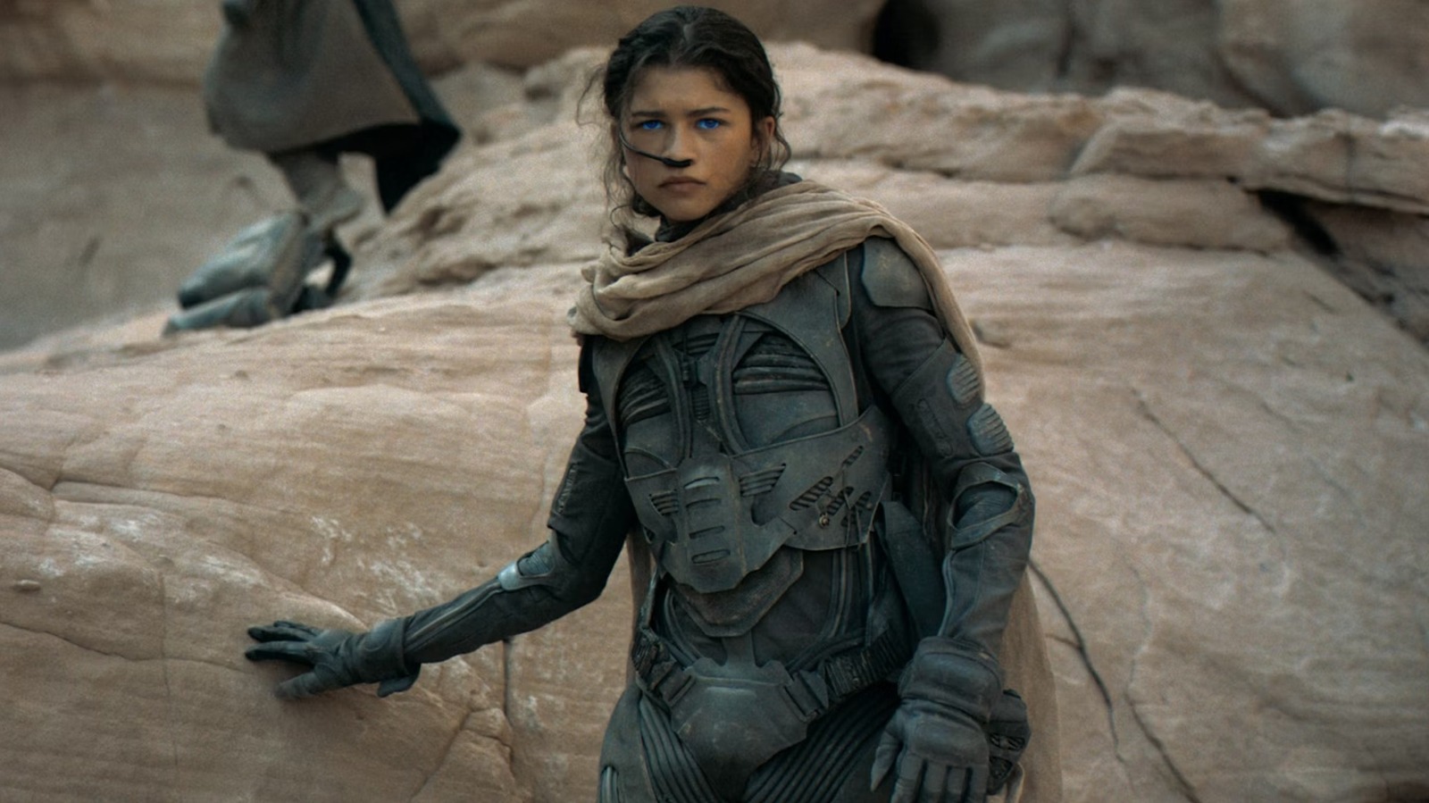 Dune: What Happens To Zendaya's Chani In The Books