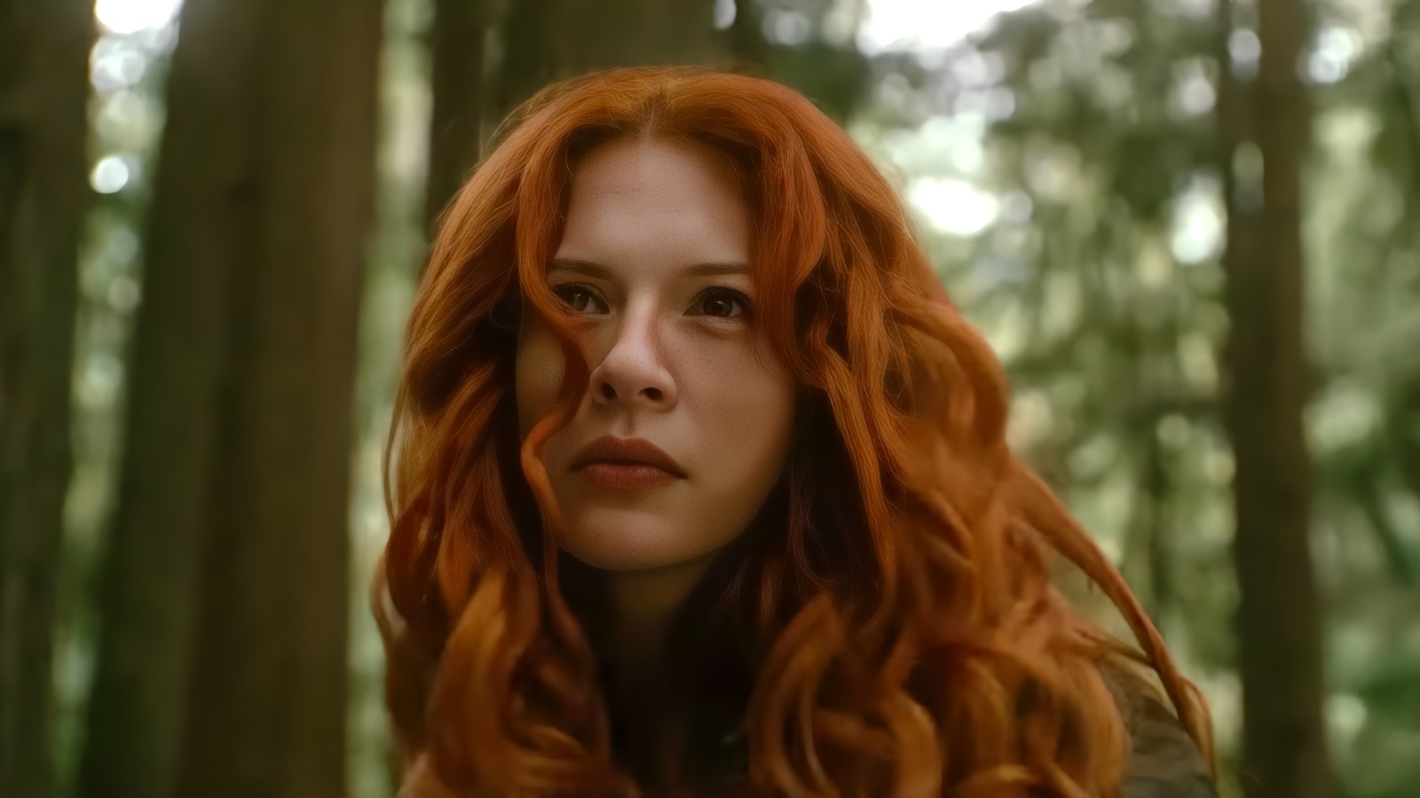 Why Twilight Replaced Rachelle Lefevre As Victoria With Bryce Dallas Howard
